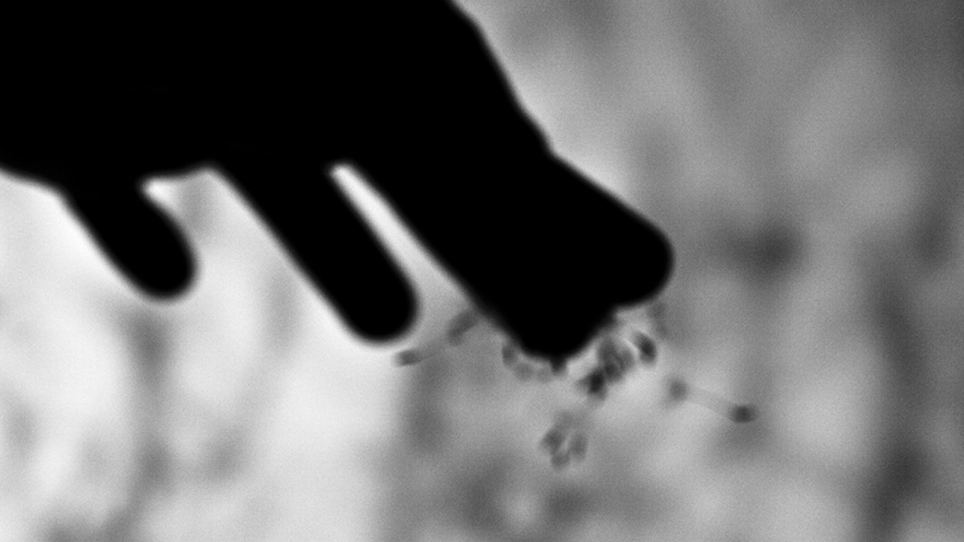 Echarse hacia atras_00 – Ofelia Cardo